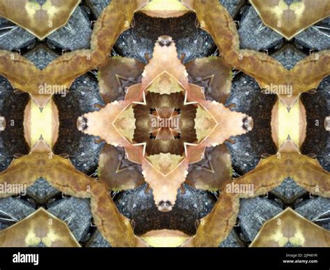 A Beautiful Symmetrical Pattern Formed By Overlapping And Intersecting