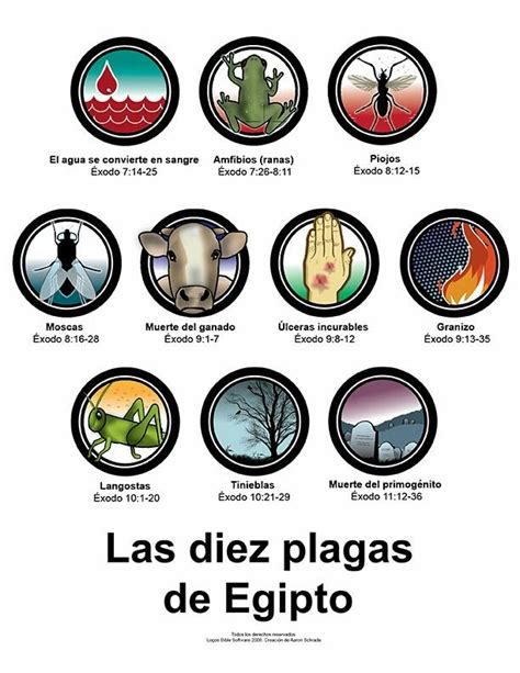 Pin On Moises 10 Plagues Bible Lessons Bible Story Crafts
