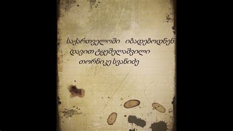 საქართველოში იბადებოდნენ დავით ტყეშელაშვილი თორნიკე სვანიძე Youtube