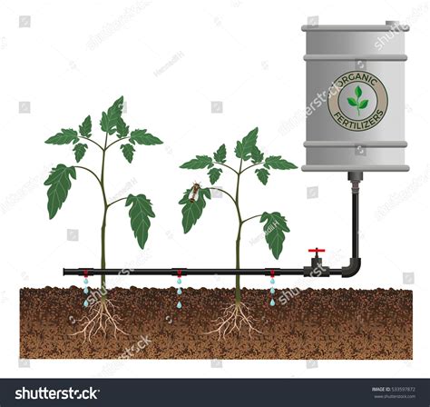 Drip Irrigation System Water Nutrient Over 33 Royalty Free Licensable