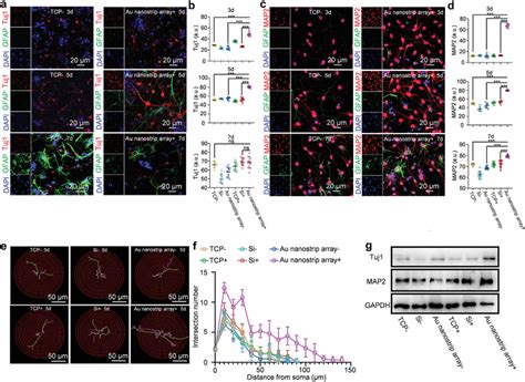 au nanostrip array‐based wireless device accelerates neuronal