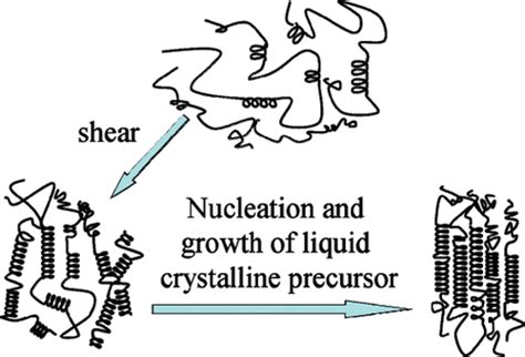 Shear Induced Nucleation And Growth Of Long Helices In Supercooled Isotactic Polypropylene