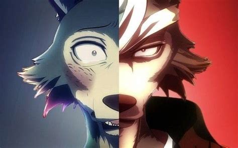 Pin By Dark W0lf On Legoshi 🐺 Anime Furry Cute Anime Guys Furry Art