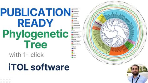 How To Make Publication Standard Phylogenetic Tree With Itolitol