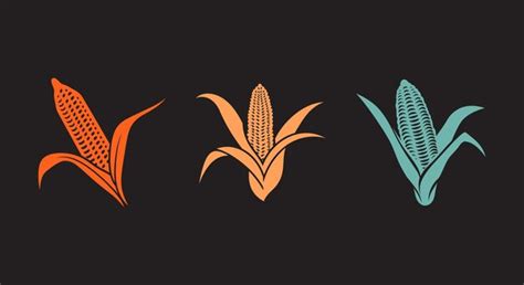 Premium Vector Corn On The Cob Vector Illustrations Set