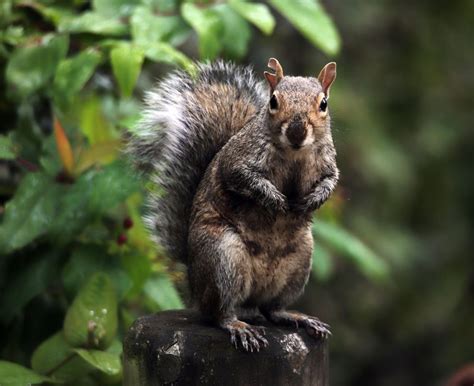 Mark Odonnell Photographer Youpic