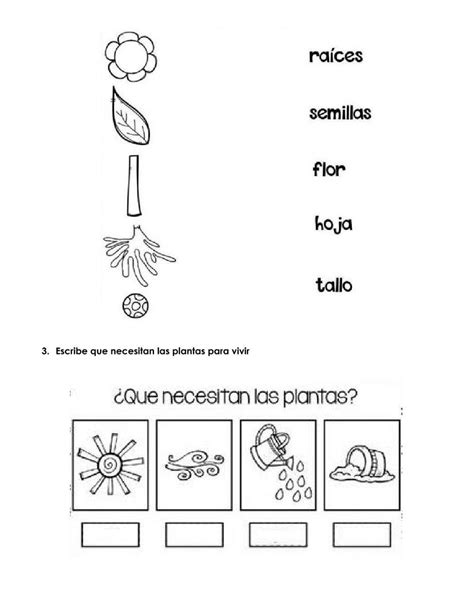 Las Plantas 0845 Alexagaviria Live Worksheets