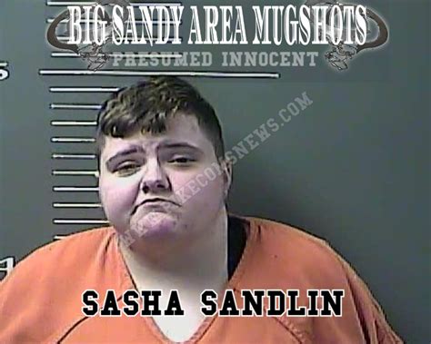 Sasha Sandlin Big Sandy Area Mugshots News