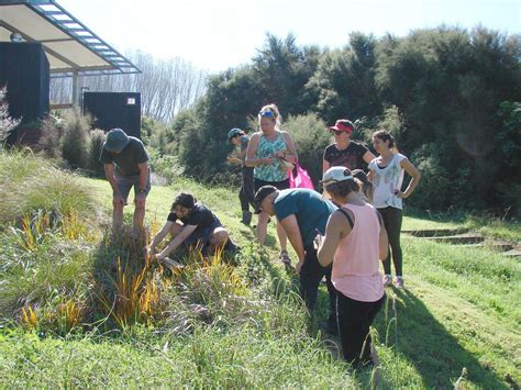Seed Collection Workshop Waikereru