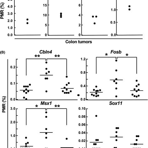 Suppression Of Aberrant Dna Methylation Induction By Treatment With