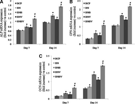 Representative Histograms Of Alp A Opn B And Ocn C Mrna