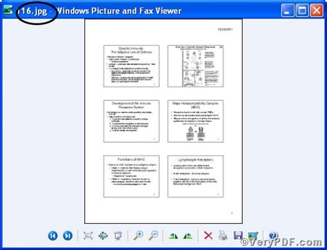 How To Convert Prn To  Via Command Line Verypdf Knowledge Base