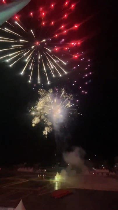 로즈마리 살리기 로즈마리 타임랩스 촬영8시간 Youtube