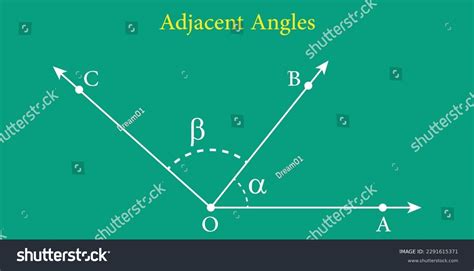 Adjacent Angles Mathematics Two Angles Common Stock Vector Royalty Free 2291615371 Shutterstock