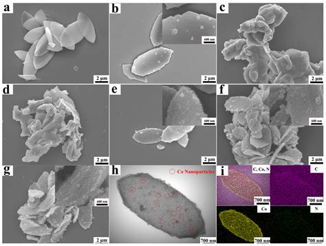 Co Doped Porous Carboncarbon Nanotube Heterostructures Derived From Zif Lzif 67 For Efficient