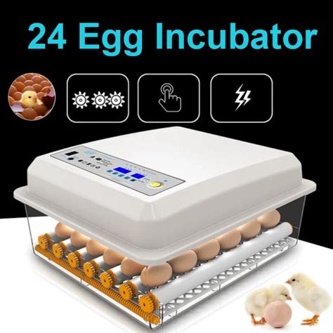 Egg Incubator Digital Temperature Control Automatic Turningchicken