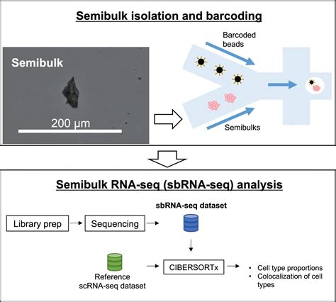 Microfluidics Enables High Throughput Analysis Of The Effect Of The Local Environment On Gene