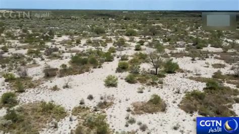 المنظمة العالمية للأرصاد الجوية بداية يوليو تسجل أرقاما قياسية