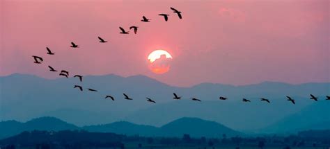 Reverse Cloud Migration Why Companies Move Away From The Cloud I D Net