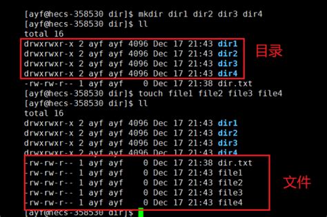 （5）shell命令以及linux的权限