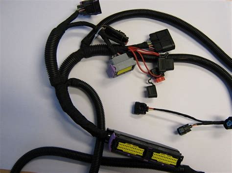 Cable Loom Assembly Leotronics