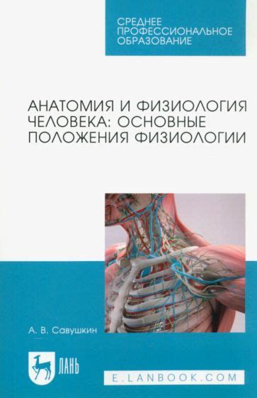 Книги и учебники по анатомии и физиологии человека | Лабиринт