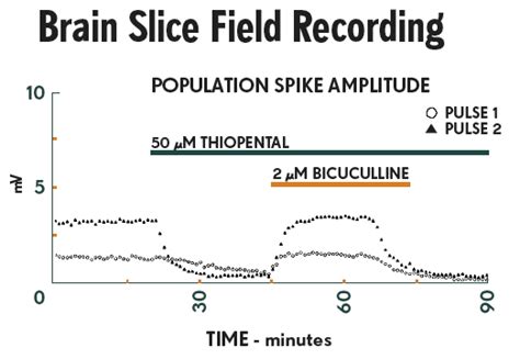 Perfusion Systems Automate Scientific