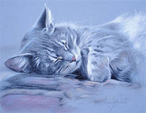 Sleeping Cat Drawing Realistic