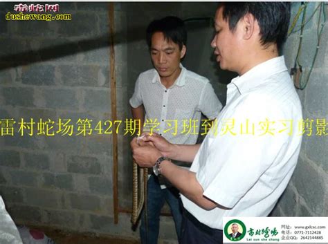 广西雷村蛇场养蛇技术培训第427期 养蛇技术培训 毒蛇网