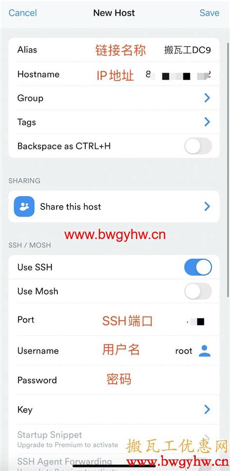 Ios苹果手机ipad使用termius Ssh远程连接搬瓦工教程 搬瓦工优惠网