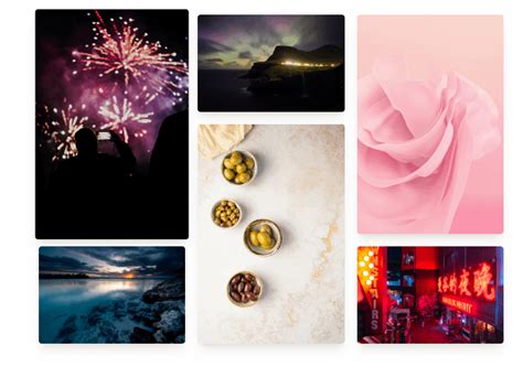 Easy Tailwindcss Photo Gallery Using Grid Rdailycodingdose