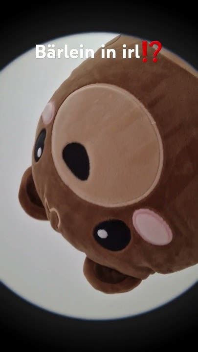 Bärlein In Real😱 Music Bärlein Youtube
