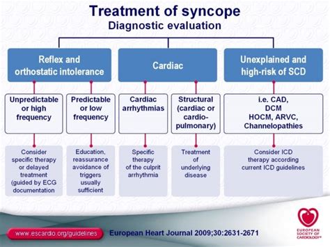 Syncope Diagnostic Algorithm And Management Mudr Jakub Honk