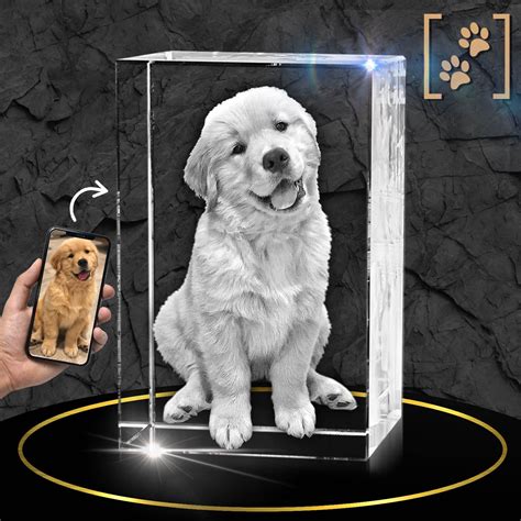 3d Crystal Cube Portrait Captur3d