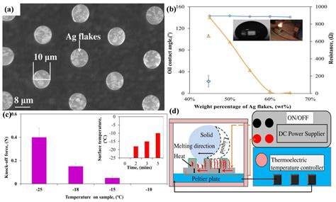Bio Inspired Polymeric Structures With Special Wettability And Their Applications An Overview