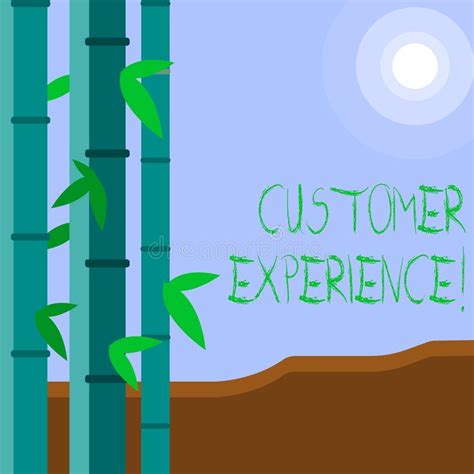 Word Writing Text Customer Experience Business Concept For Product Of Interaction Between