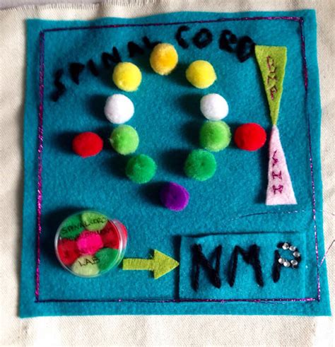 058 Neuromesodermal Progenitors En Route To Spinal Cord An… Flickr