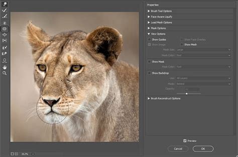 Instructions For Using The Liquify Tool In Photoshop