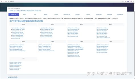 性感java开发，在线发jdk 知乎