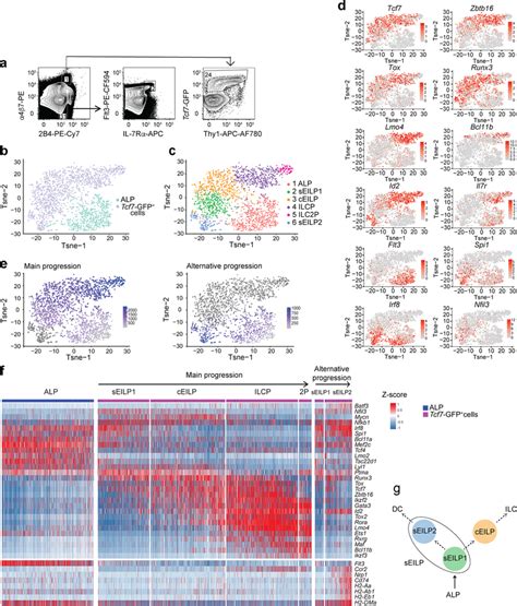 The Transcription Factor Tcf 1 Enforces Commitment To The Innate Lymphoid Cell Lineage Pmc