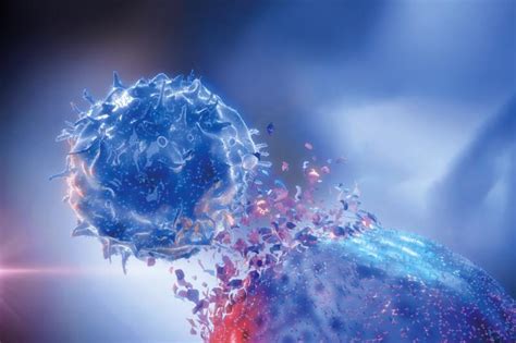 Creating Next Generation Gs Cho Expression Solutions Chris Ross Mba