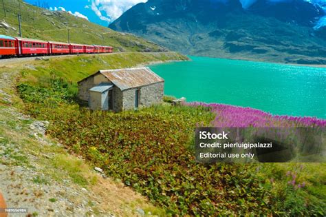 스위스 산을 여행하며 스위스와 이탈리아를 연결하는 작은 빨간 기차 기차에 대한 스톡 사진 및 기타 이미지 기차 빨강 엥가딘 Istock