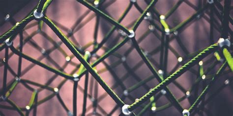 How To Access The Dark Web Safely And Anonymously