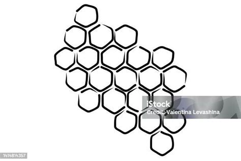 프로폴리스 허니콤 스케치 손으로 그린 꿀 빗 흑백 이미지 꿀벌 왁스 꿀벌 꿀과 프로폴리스 낙서 벡터 벌집에 대한 스톡 벡터 아트 및 기타 이미지 Istock
