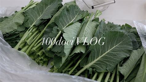 우리집 밥도둑 케일 장아찌 만들기 Youtube