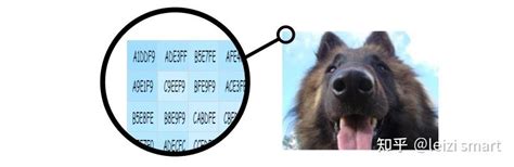 计算机视觉数字图像处理与Python实现 知乎