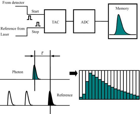 Principle Of Tcspc The Time Delay τ Between The Excitation Pulse And
