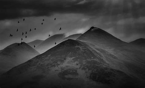 Hill Black And White