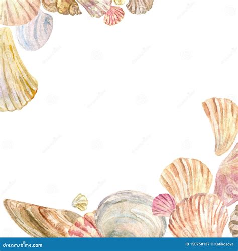Watercolor Shell Corner Border Frame Stock Illustration Illustration Of Nature Frame 150758137