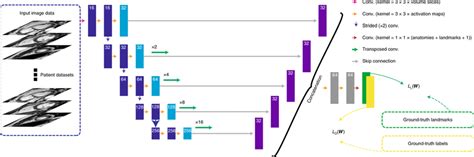 The Architecture Of The Segmentation Algorithm A Fcn Takes Each Stack